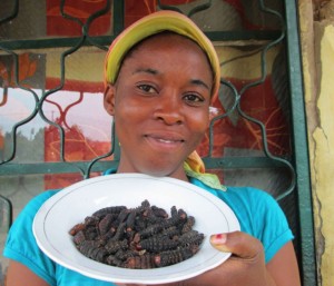 Manger des insectes dans le monde : pratiques en entomophagie